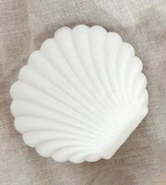 Clam Shell Jewellery Box – Home and Afar